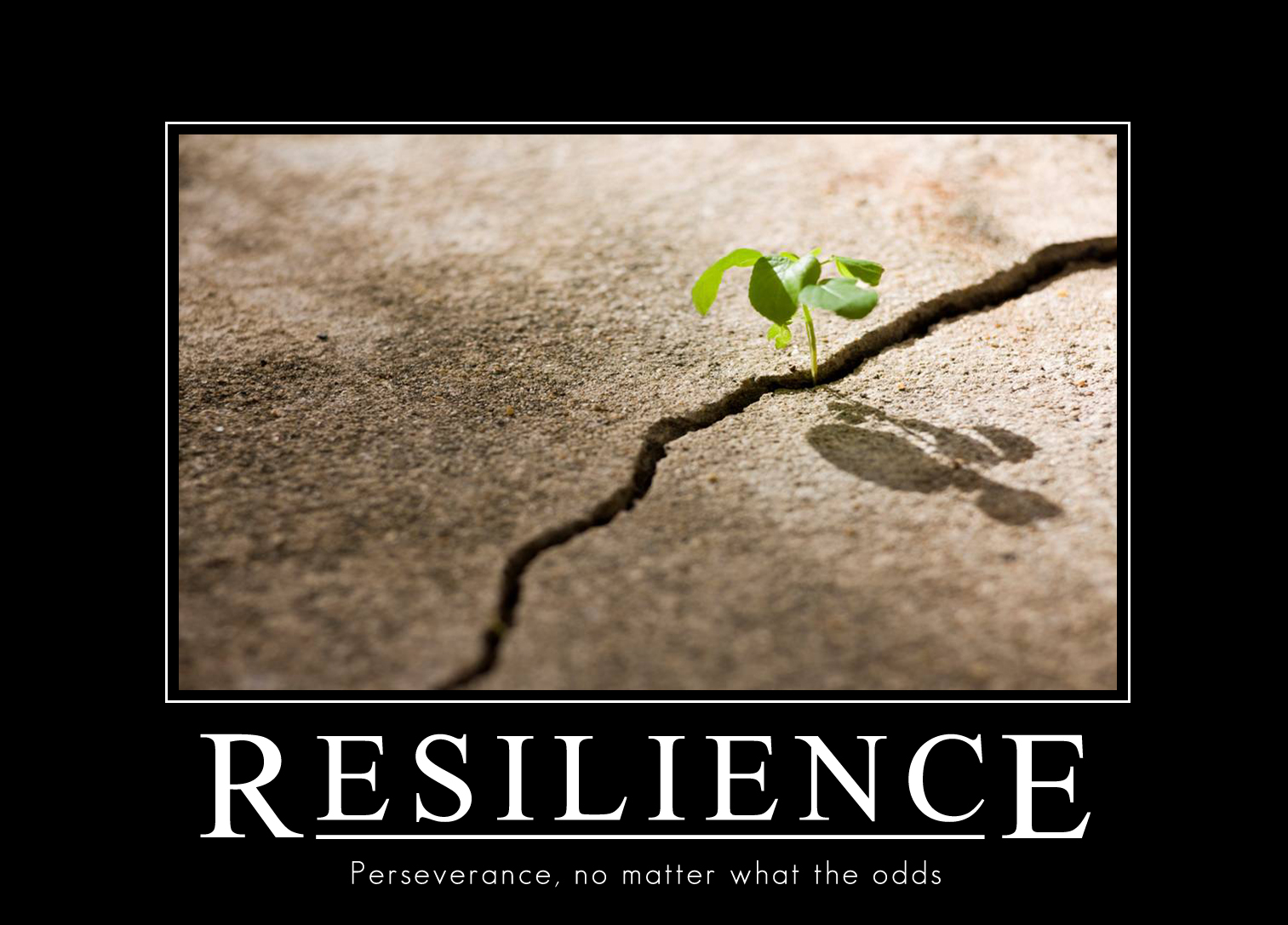 Resilience in business - Business Blogger Resilience in business - Business Blogger